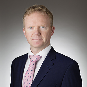 Healy, Professor David - SVCPC